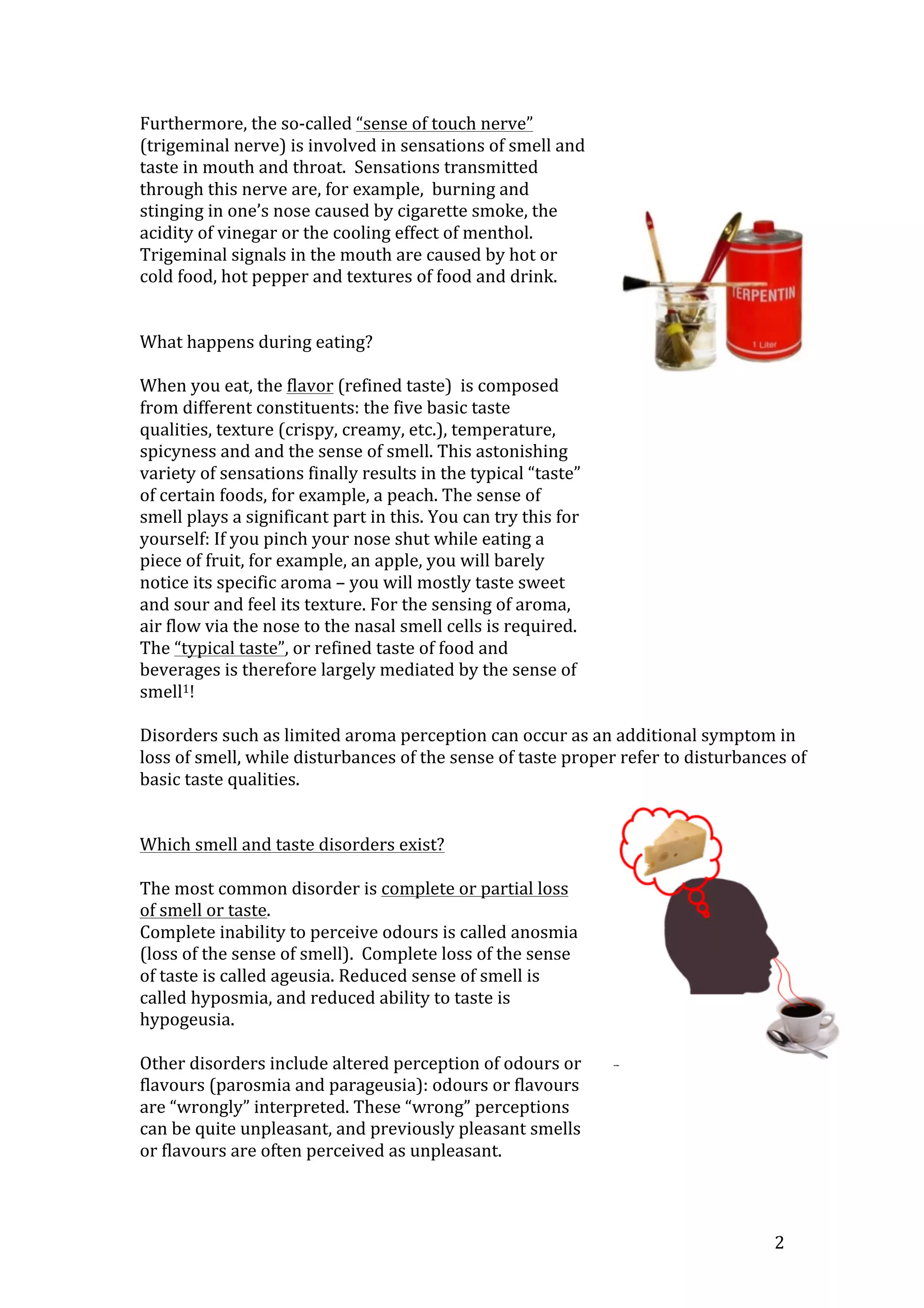 Taste_and_Smell_Disorders-Translation | PDF | Ear, Nose and Throat ...