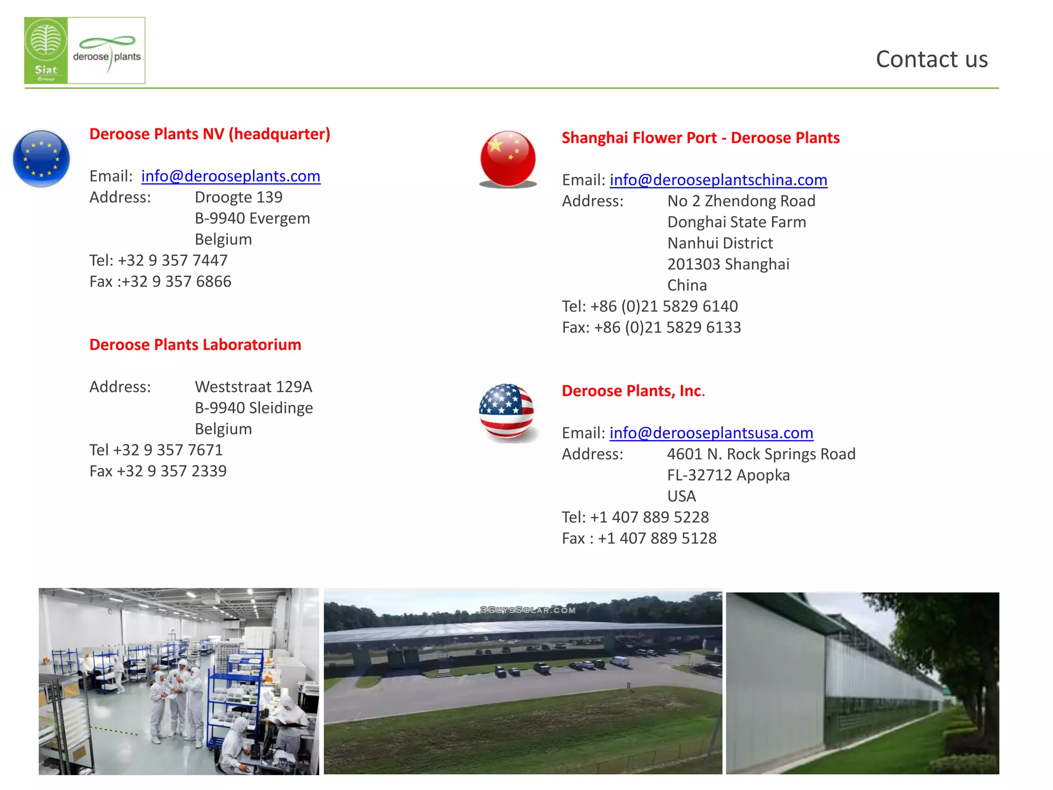 Brochure Deroose Plants | PDF