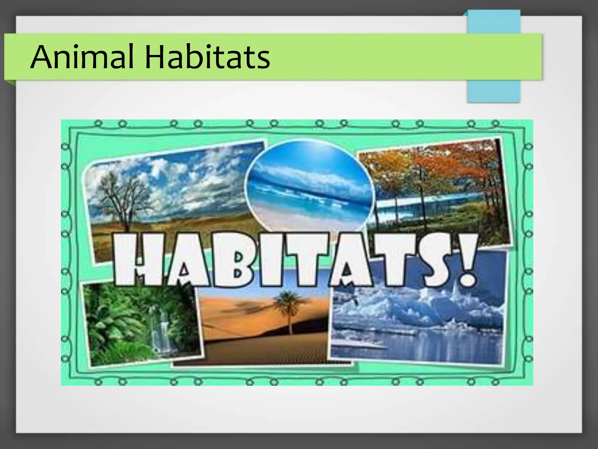Introduction to Animal Habitats_ identify | PPTX