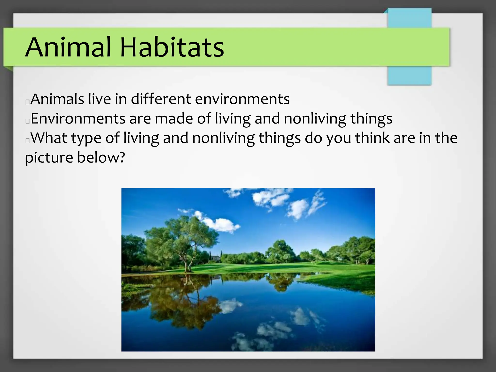 Introduction to Animal Habitats_ identify | PPTX