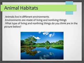 Introduction to Animal Habitats_ identify | PPTX