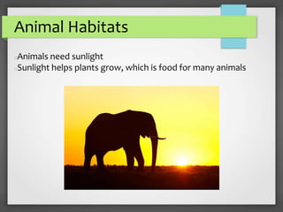 Introduction to Animal Habitats_ identify | PPTX