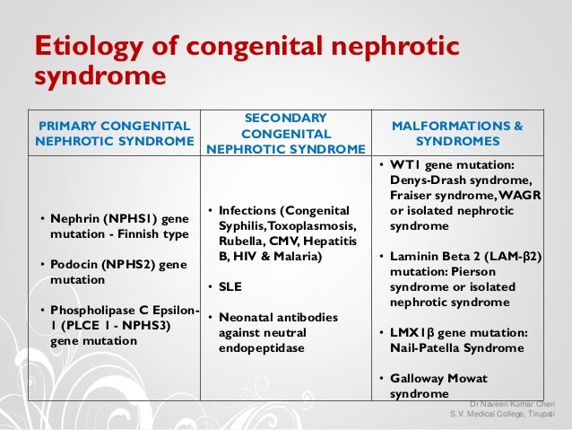 Management Of Nephrotic Syndrome