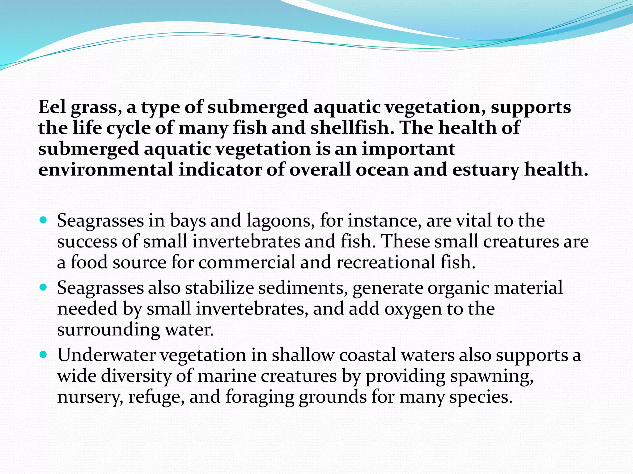 Oceans Power Point Presentation | PPTX