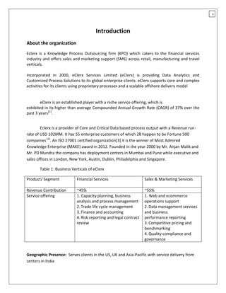 Internship Final Report_eClerx | PDF