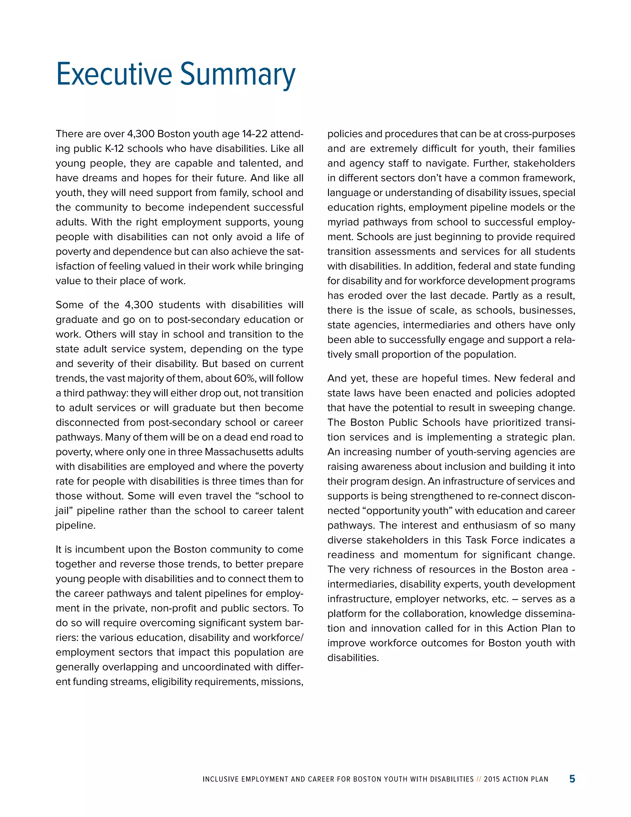 Action Plan Executive Summary | PDF