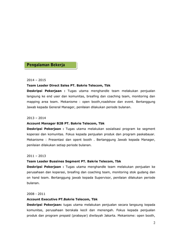 Cv Thomas Faradta | PDF