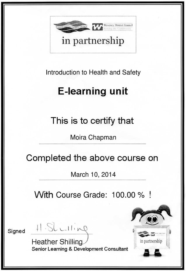 SCDC Health and Safety | PDF