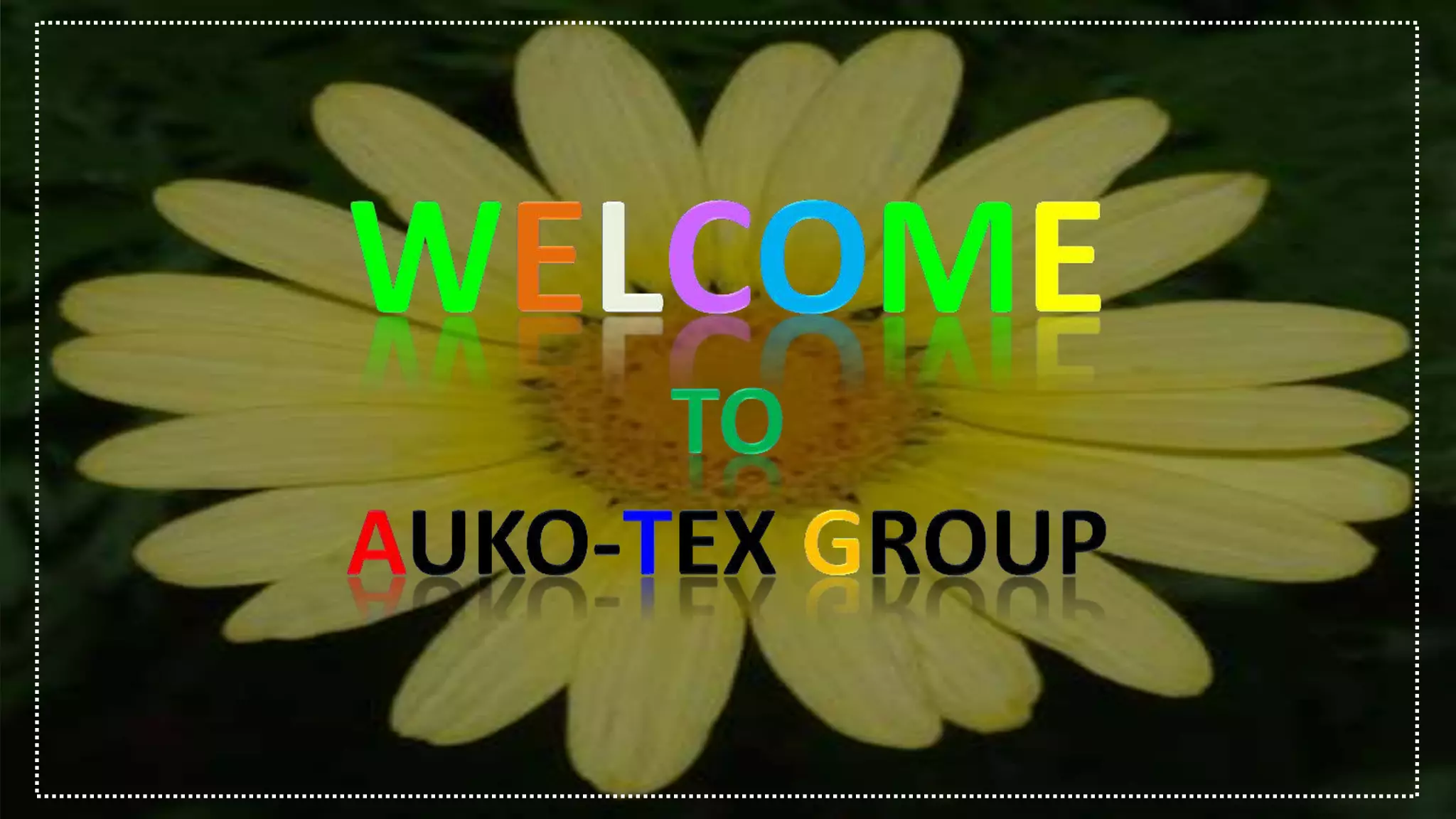 Auko-Tex Briefing Aug2015 PS | PDF