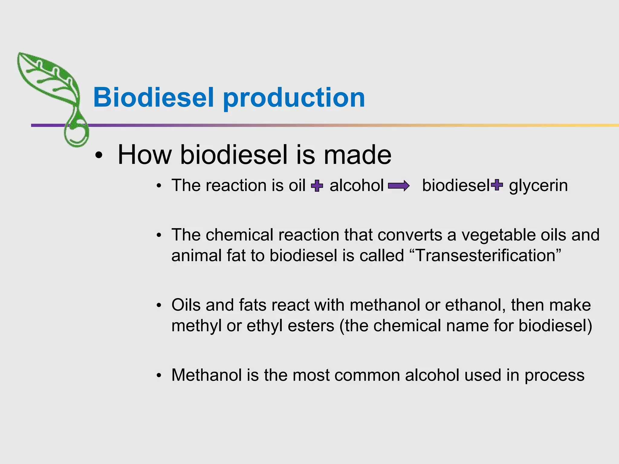 biodiesel1 | PPTX