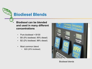 biodiesel1 | PPT