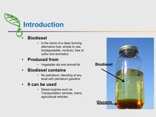 biodiesel1 | PPT