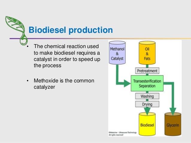 biodiesel1
