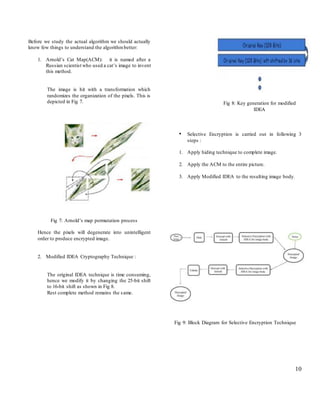 survey project-1 | PDF