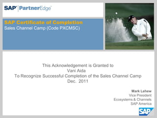 SAP_Cerification | PDF