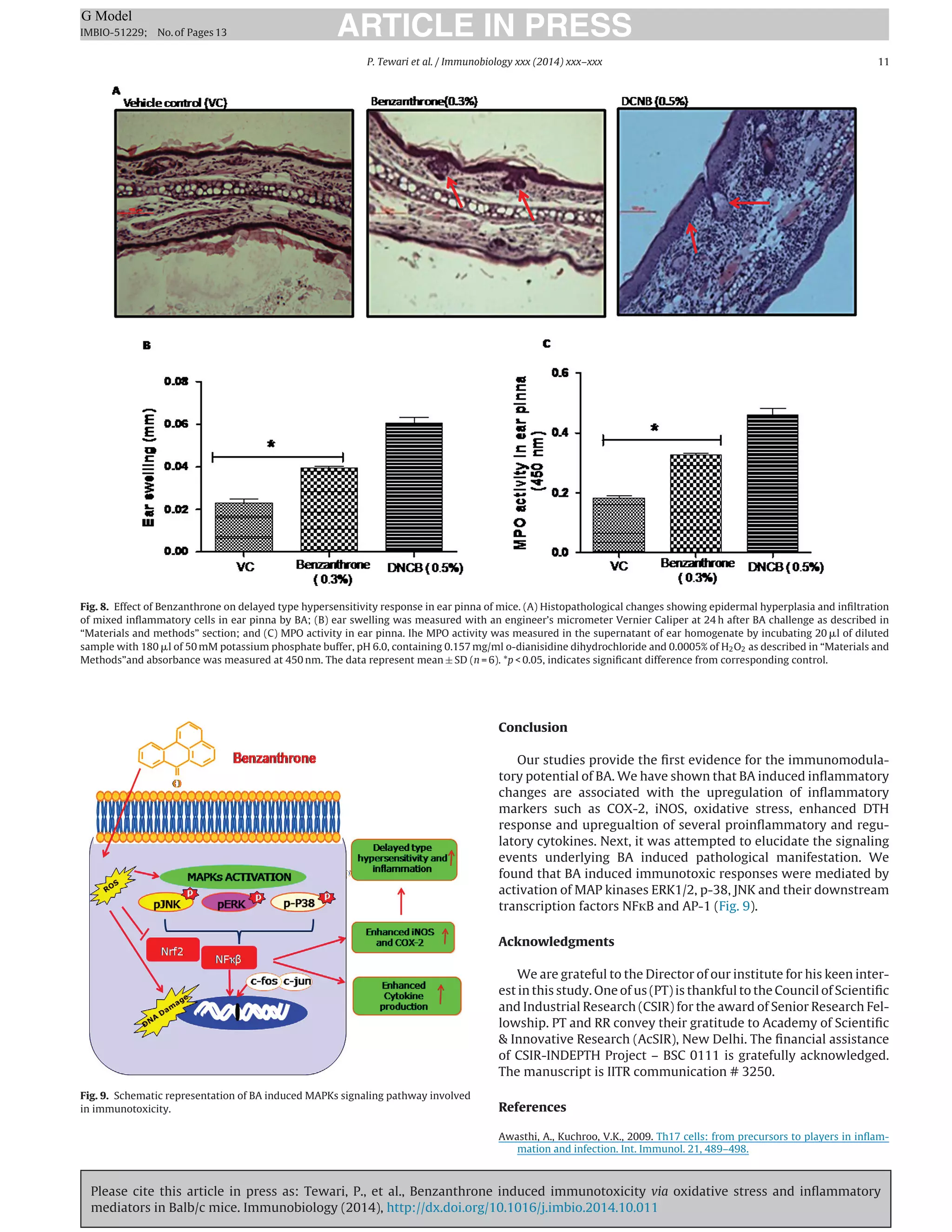 Benzanthrone induced immunotoxicity via oxidative stress | PDF