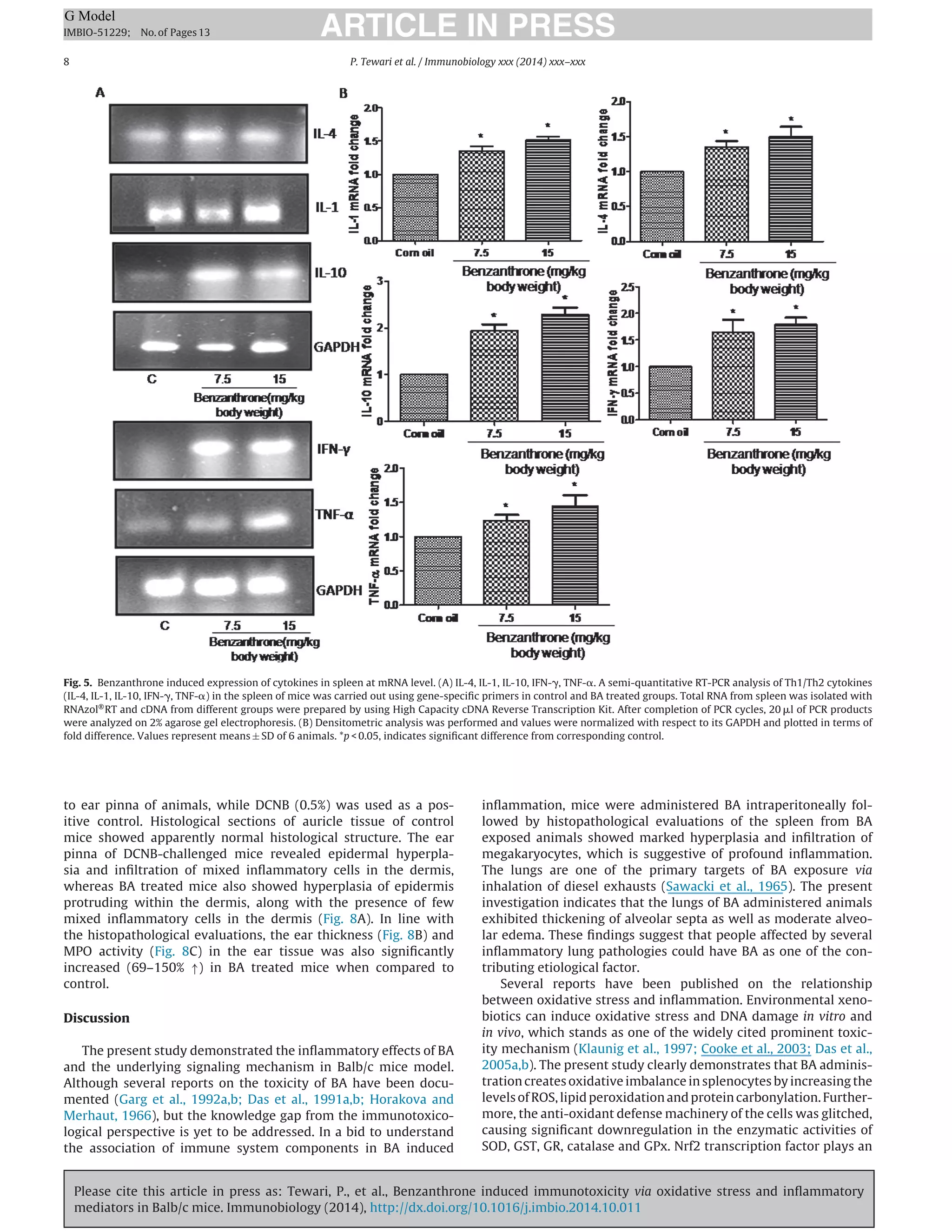 Benzanthrone induced immunotoxicity via oxidative stress | PDF