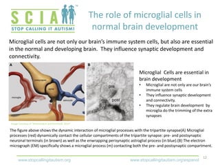 Juan-Rodriguez-SCIA-AutismOne-2013 (1) | PPT