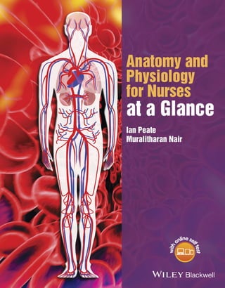 e9X5C2_anatomy physiology.pdf daily basis with good notes | PDF