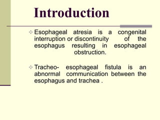 EA - Copy - Copy.ppt