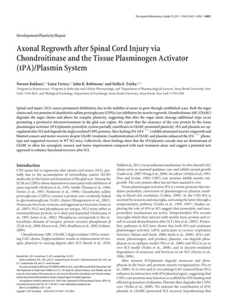 AGEP:SRI research project | PDF