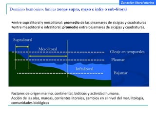 EA_15I_Modelado y geoformas costeras_ejemplos.pdf