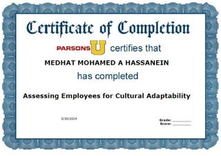 medhat diplomas | PDF