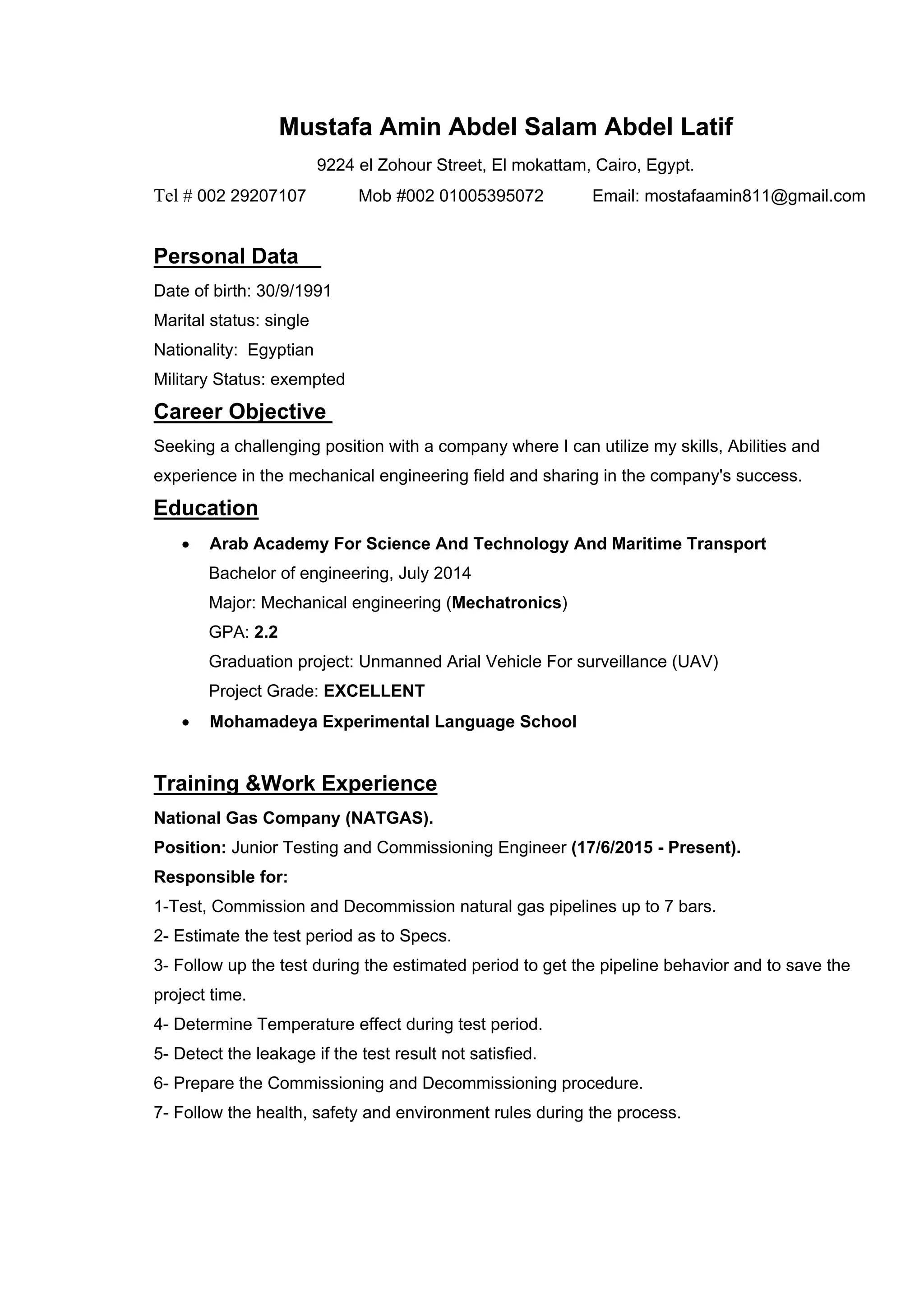 My CV2 | PDF