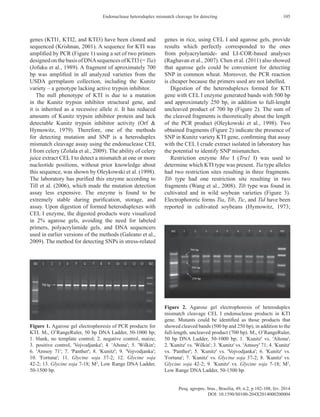 Endonuclease heteroduplex mismatch cleavage for detecting mutation ...