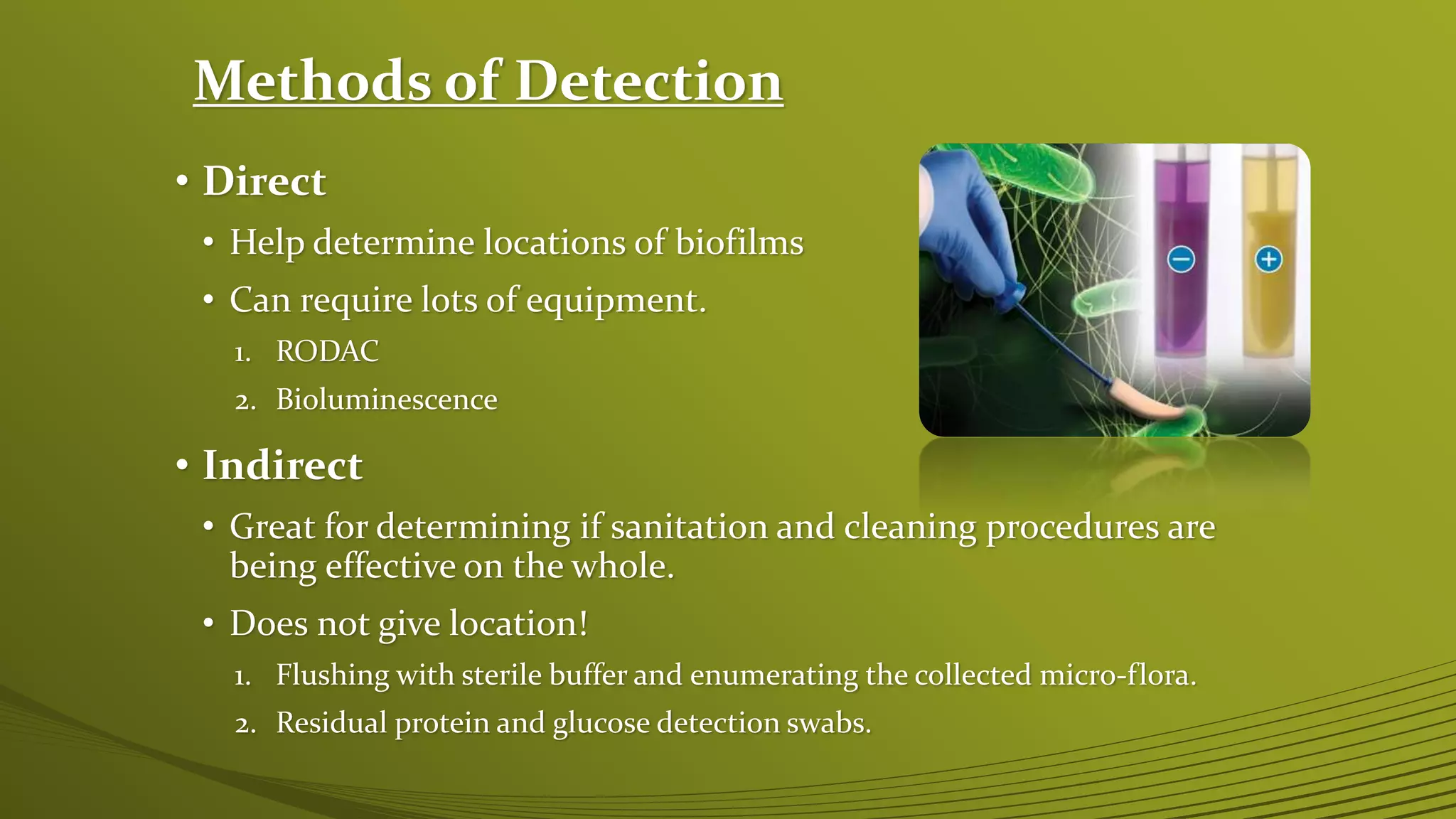 Biofilm Formation and Food Safety | PPTX