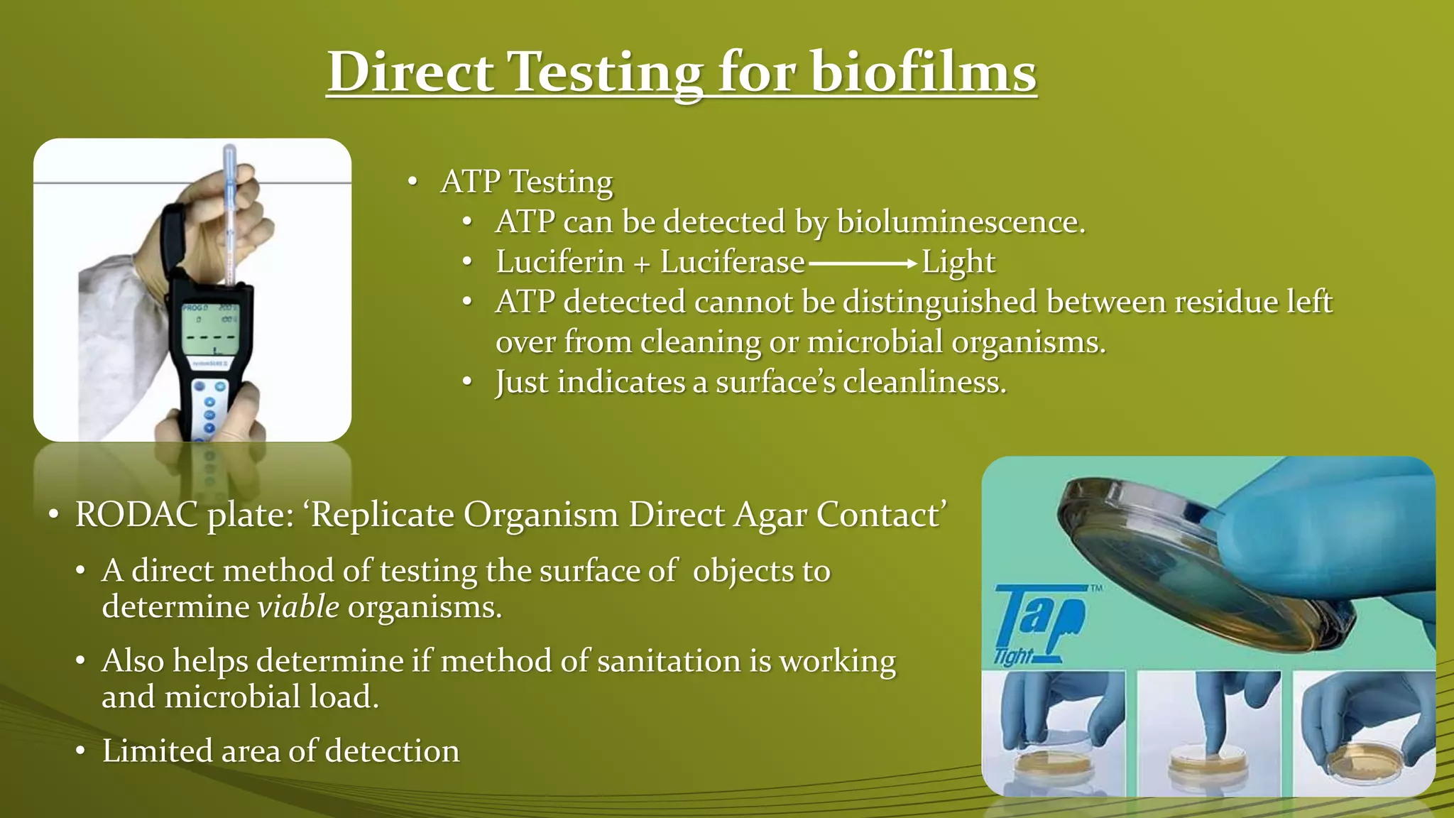 Biofilm Formation and Food Safety | PPTX