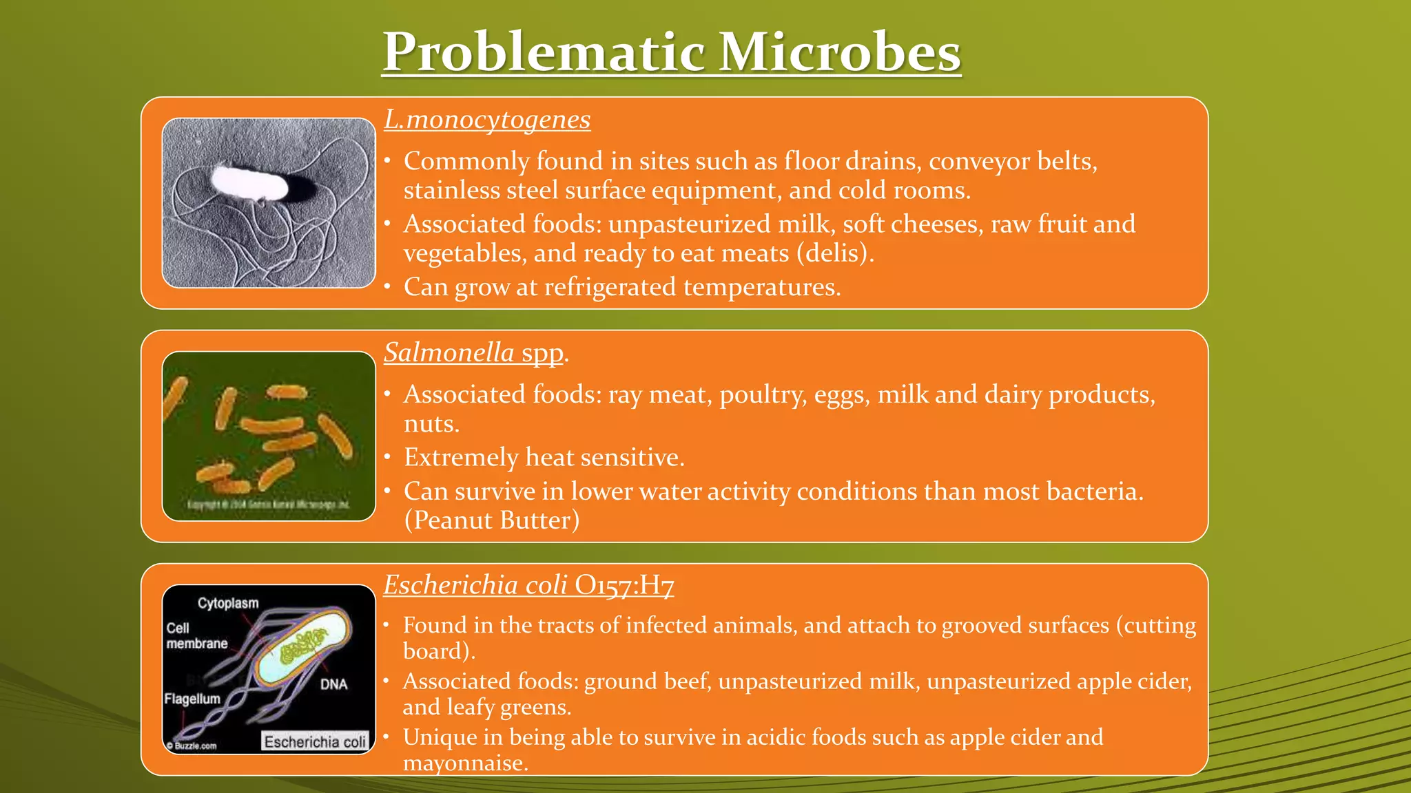 Biofilm Formation and Food Safety | PPTX