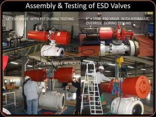 HARVISH Valve Automation Services | PPSX