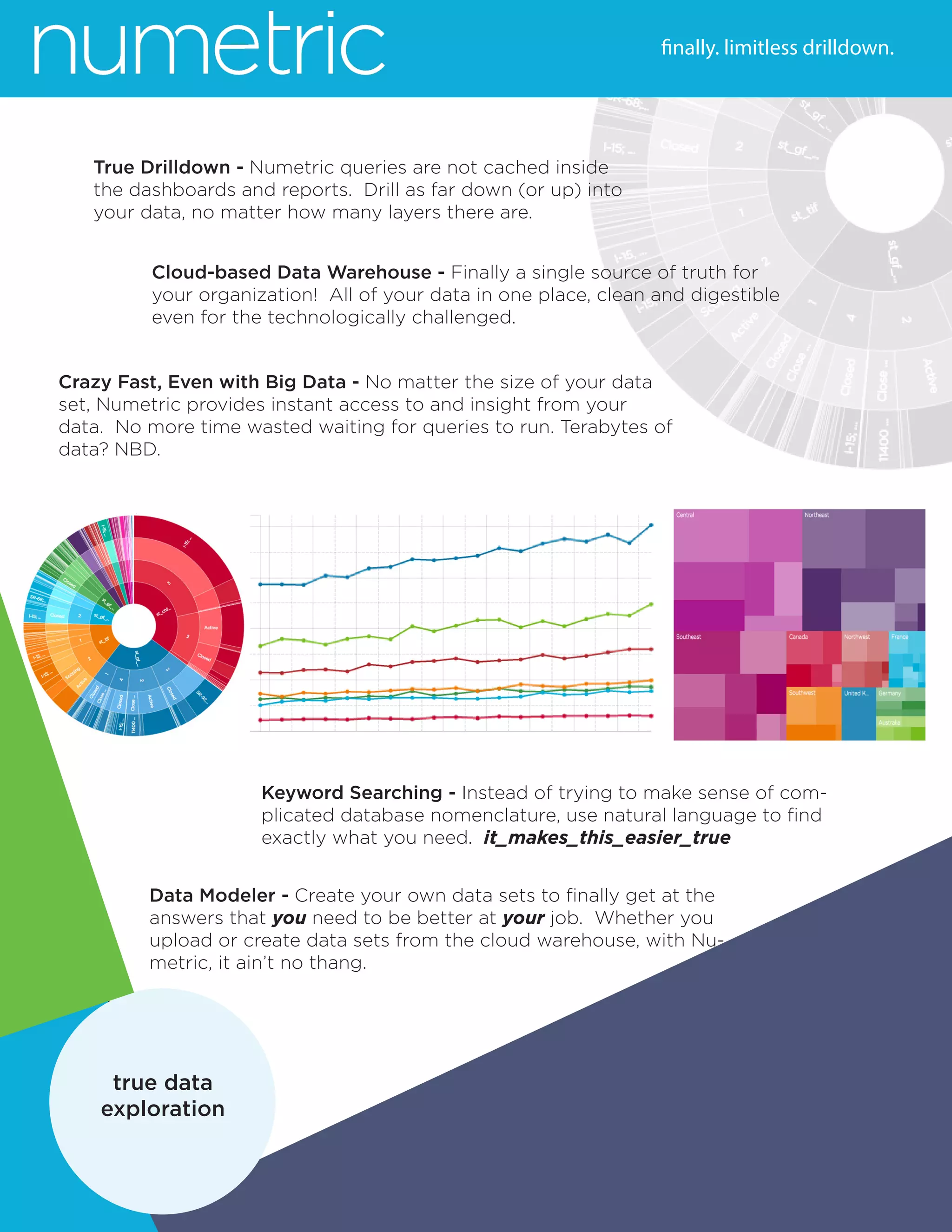 Introduction to Numetric (1) | PDF | Databases | Computer Software and Applications
