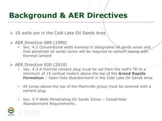 10 Well Abandonment Presentation Jan 29 | PPTX