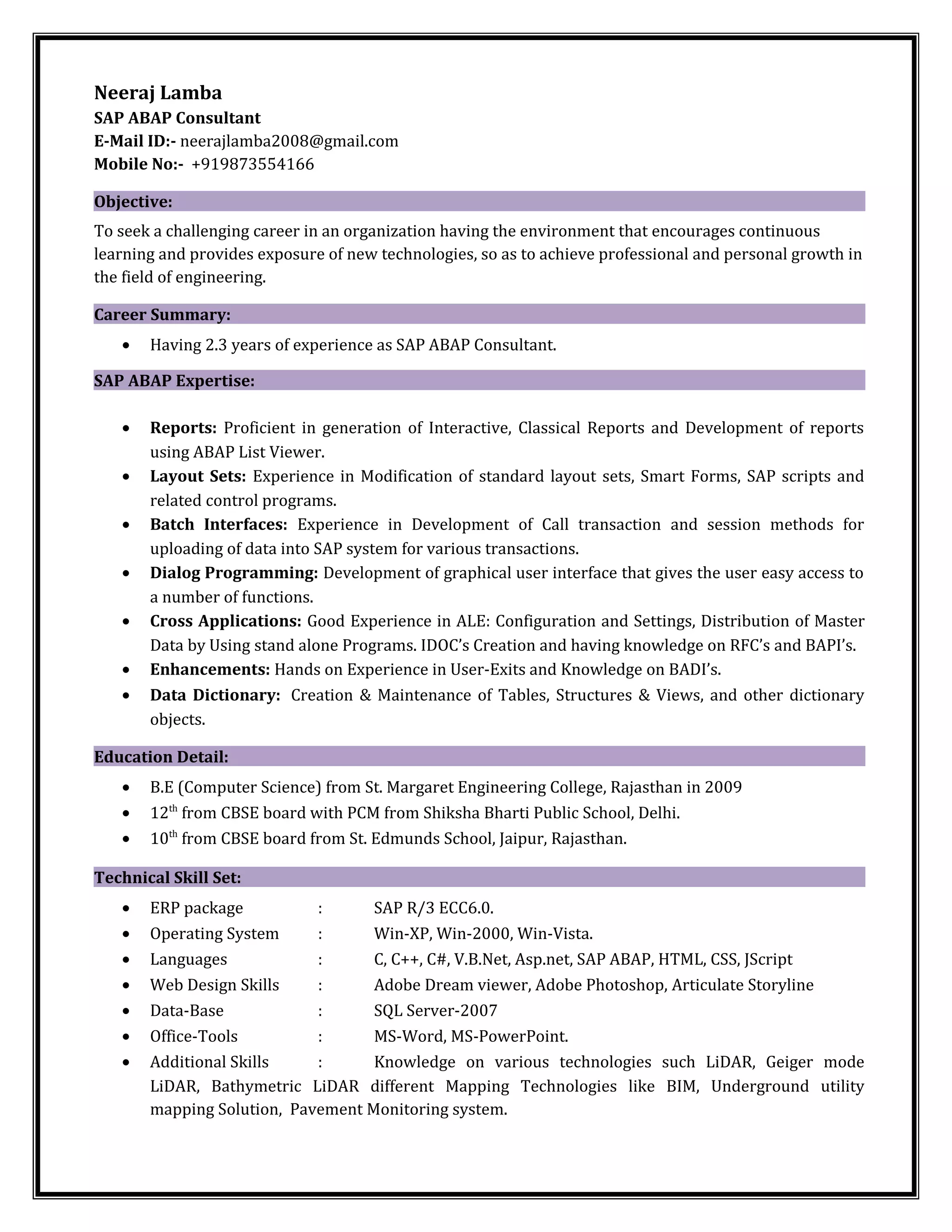 Neeraj Lamba Final Cv (1) | DOC