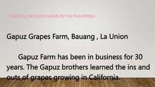 EA 6_SECOND QUARTER_LESSON-4-FRUIT-BEARING-TREES-1.pptx | Agriculture ...