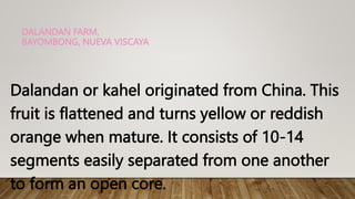 EA 6_SECOND QUARTER_LESSON-4-FRUIT-BEARING-TREES-1.pptx