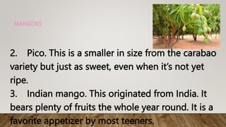 EA 6_SECOND QUARTER_LESSON-4-FRUIT-BEARING-TREES-1.pptx | Agriculture ...