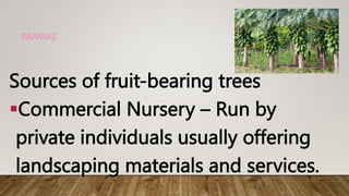 EA 6_SECOND QUARTER_LESSON-4-FRUIT-BEARING-TREES-1.pptx | Agriculture ...