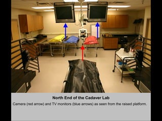 Phoenix College Cadaver Lab and Anatomy & Physiology Lab | PPT