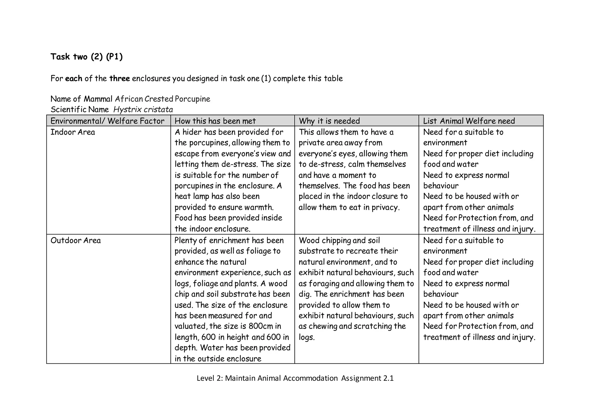 Assignment Animal Accom | DOCX | Reptiles | Pets