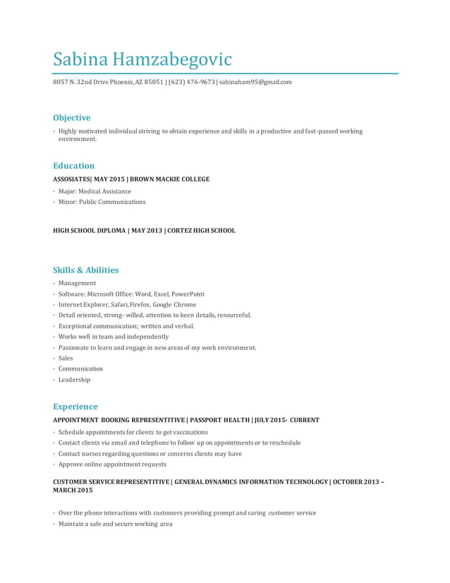 Sabina Hamzabegovic (2) | PDF