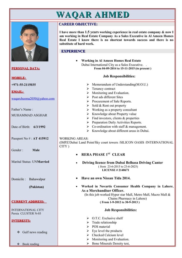 WAQAR AHMED CV | PDF