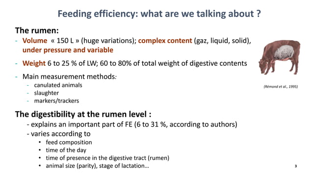 Interest of 3D imaging technology to study feed efficiency in dairy ...