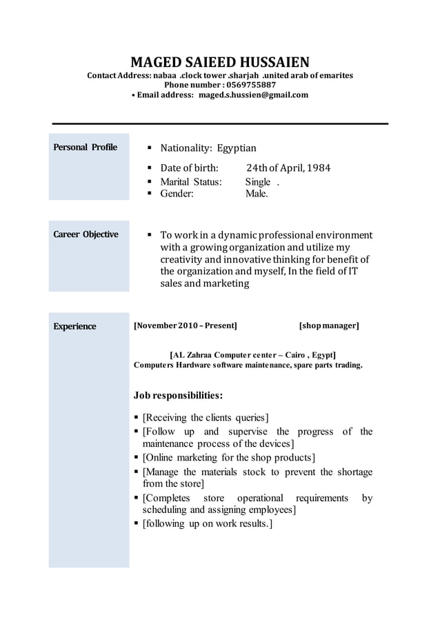 maged c.v | DOCX | IT and Internet Support | Internet