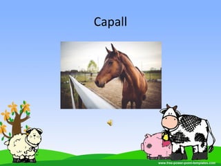 Eabha | PPT