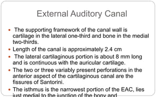 External auditory canal anatomy pathologies & management | PPTX