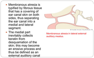 External auditory canal anatomy pathologies & management | PPTX