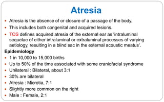 External auditory canal anatomy pathologies & management | PPTX